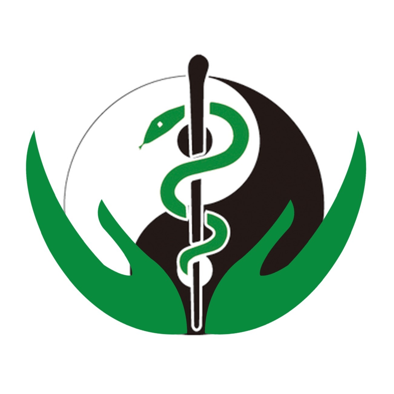 The 8th American TCM Congress